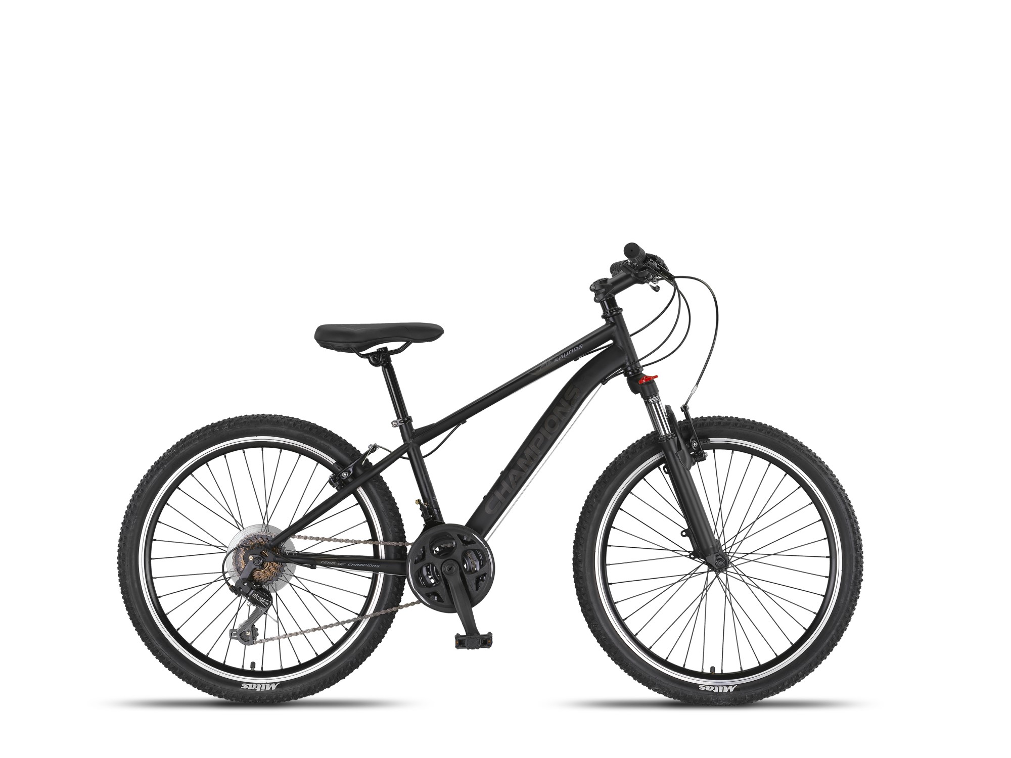 ΠΟΔΗΛΑΤΟ CHAMPIONS KAUNOS SIS 24'' | Gatsoulis Bikes